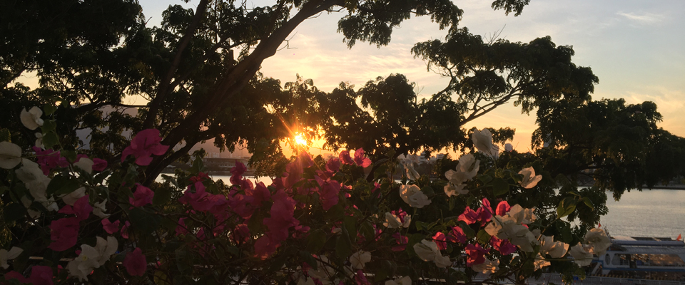 Jarard.com Good Mourning - Jarard.com